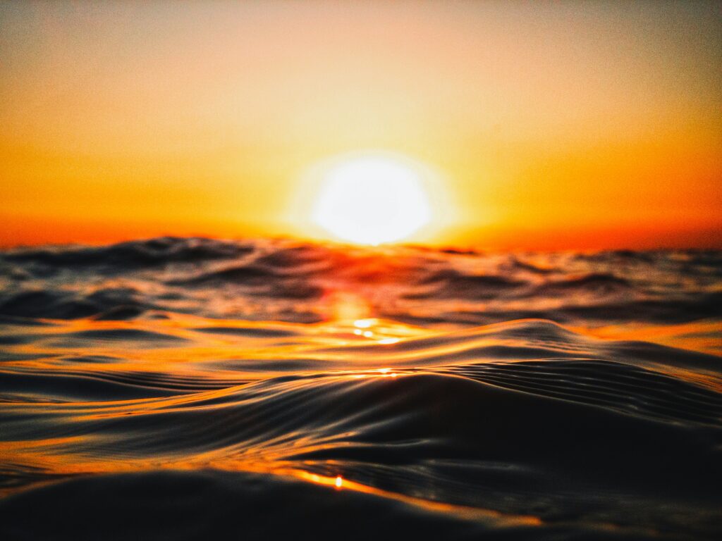 Senator McCain’s Legacy - Bellomo & Associates